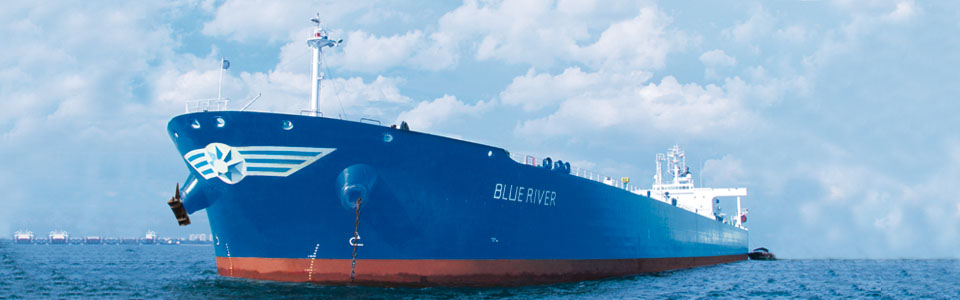 Estoril Navigation Ltd - Seaborne Transportation Services